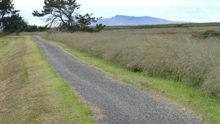 Te Araroa Trail's final section to be completed - ILT Foundation