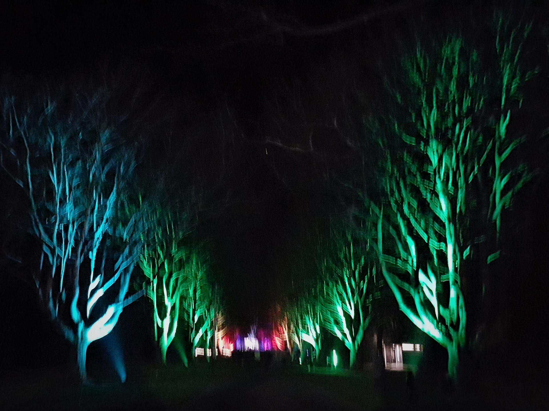 Thousands turn out for Matariki light festival - ILT Foundation